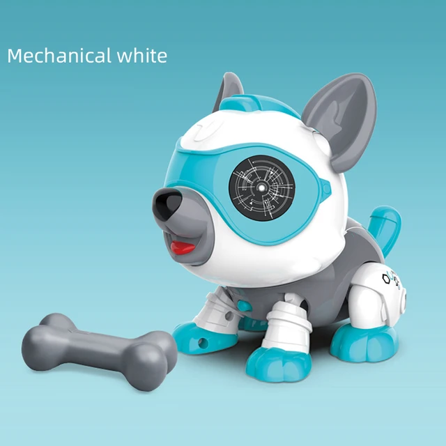 How Much Money Is Chip The Robot Dog