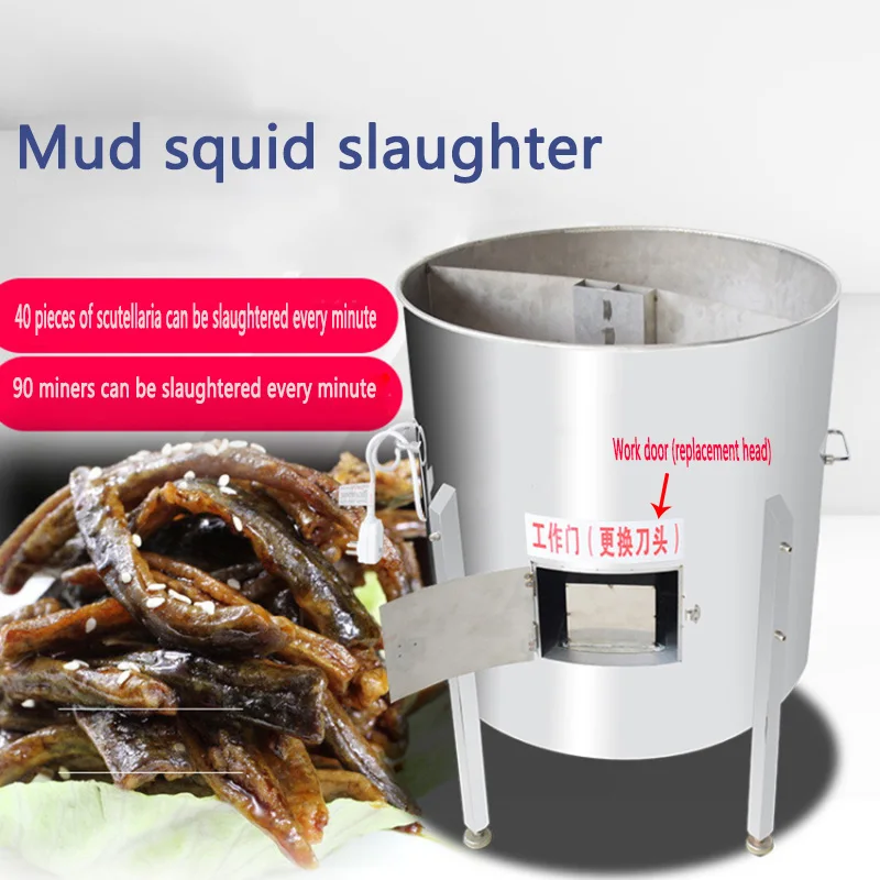 Commercial eel/loach slaughter machine XZ-490 stainless steel fish ...