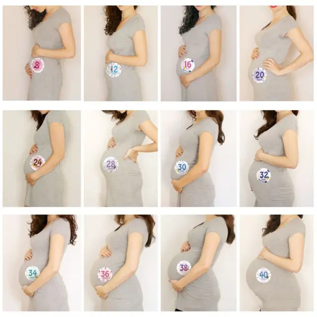 Pregnancy Pictures Month By Month