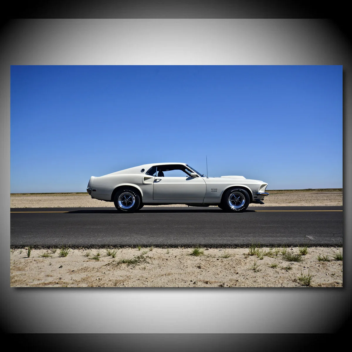 69 Mustang Fastback Boss 429