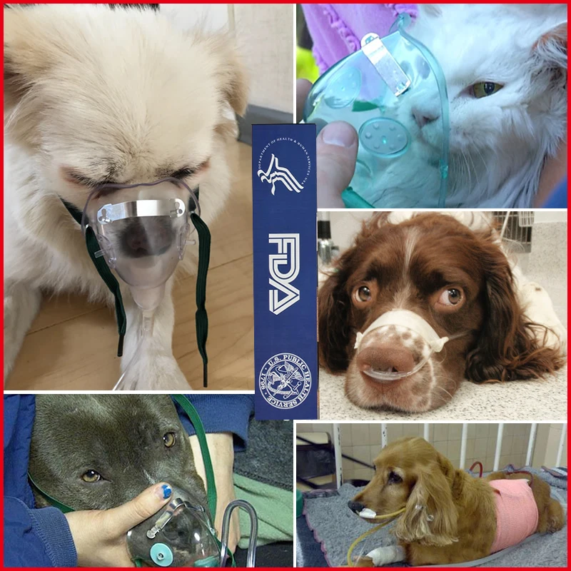 How Do You Check A Dogs Oxygen Level