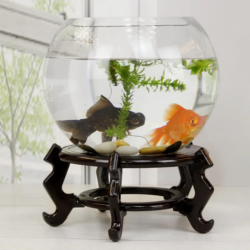 Indoor Fish Tank