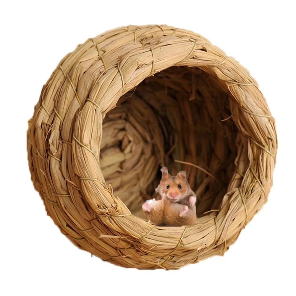 Macaw Nest Box | Bird-cage