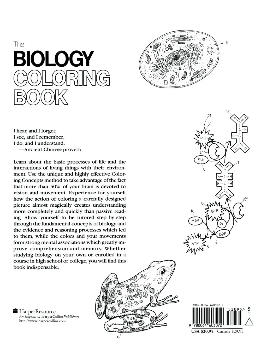 Biology Coloring Pages