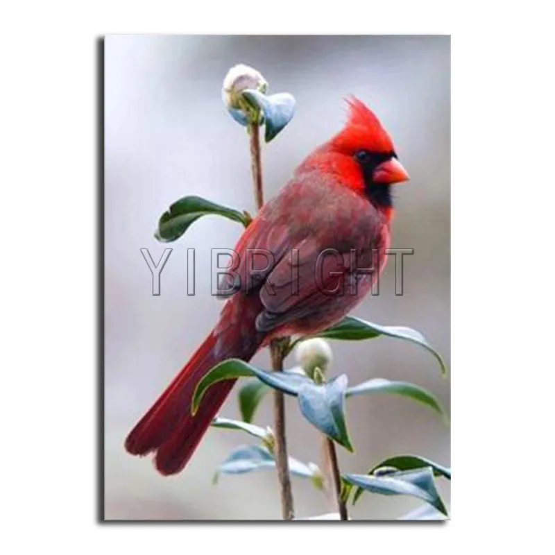 Free Cross Stitch Pattern Cardinal Bird | Cardinal Points Cross Stitch