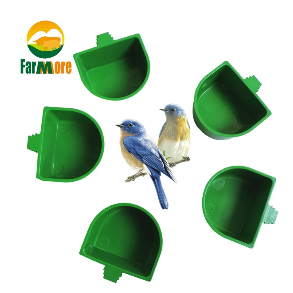 Doves & Pigeons Bird Food | Foodbird.org