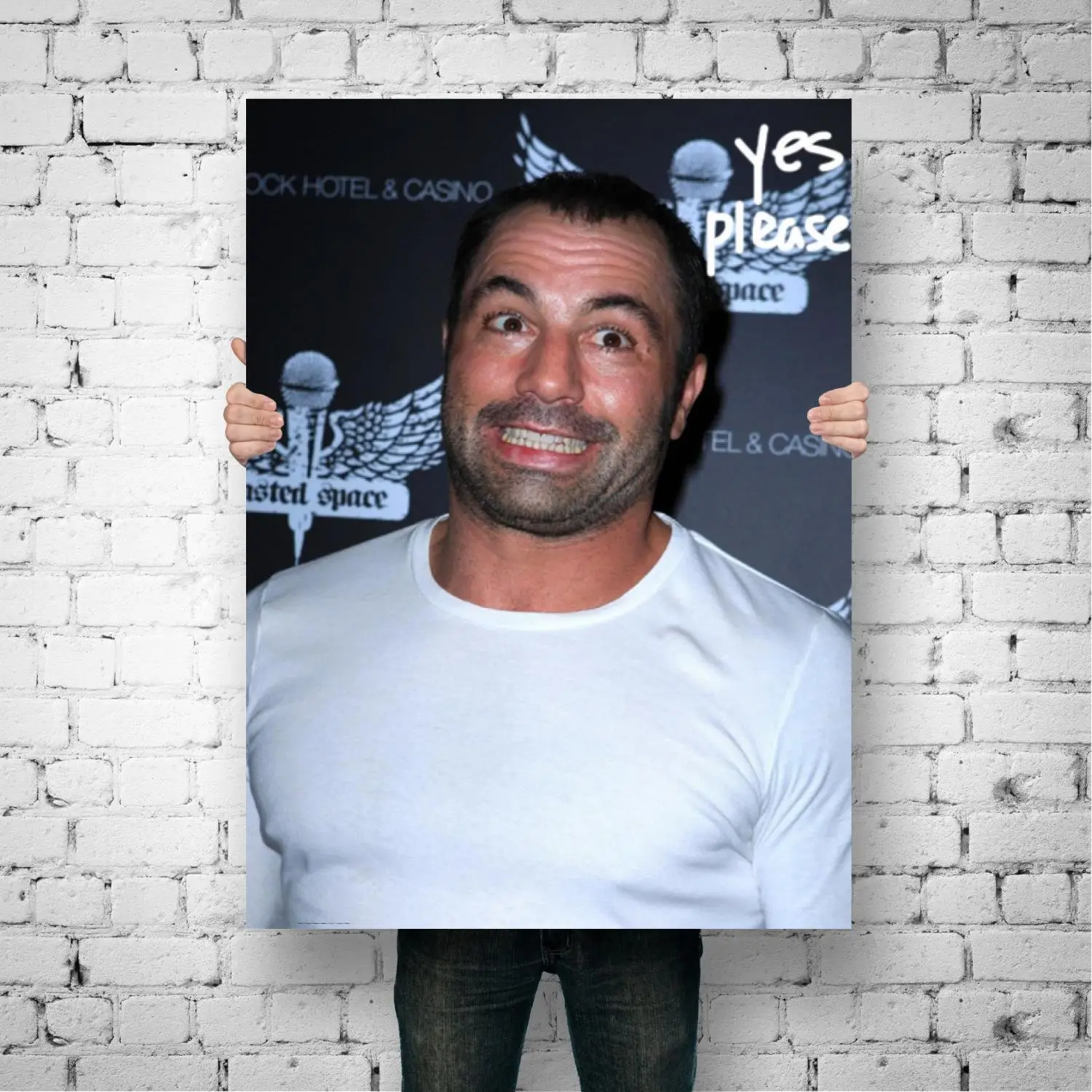 joe rogan Singer Canvas Art Poster and Wall Art Picture Print Modern ...