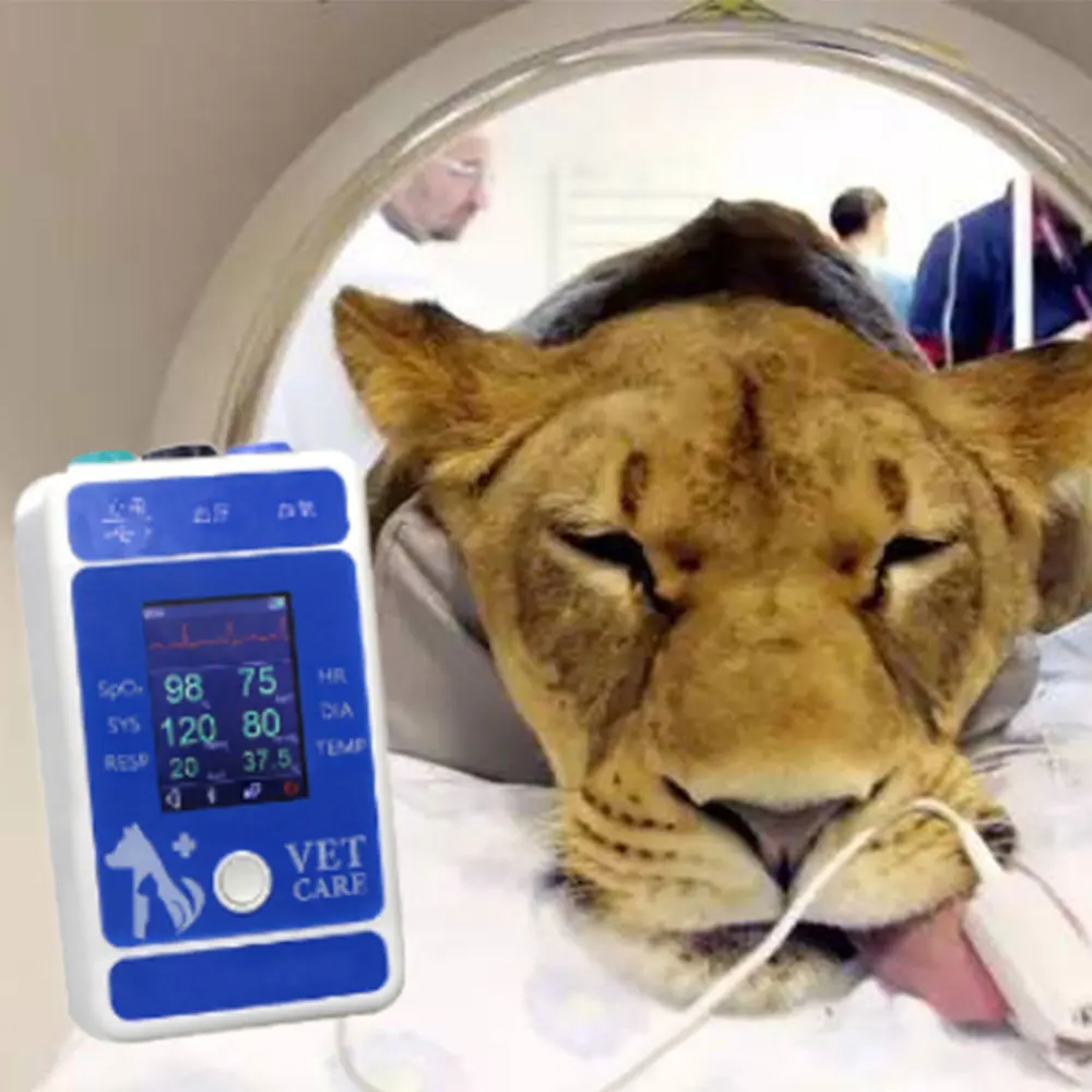 Medical Animal Equipment Vet vital signs Veterinary multiparameter ...