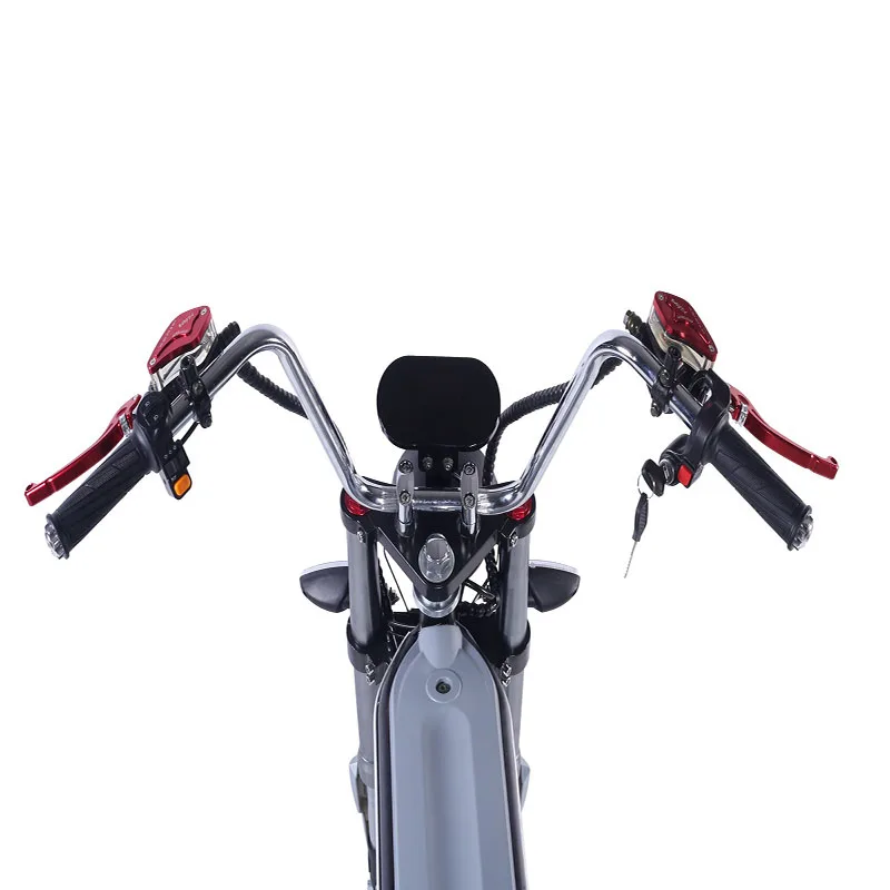 Big Wheel Smart Electric Bicycle – PapCrew