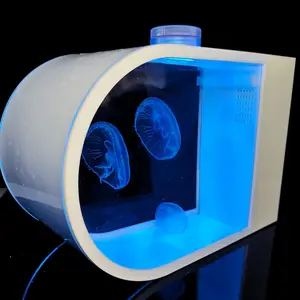 Box Jellyfish Aquarium