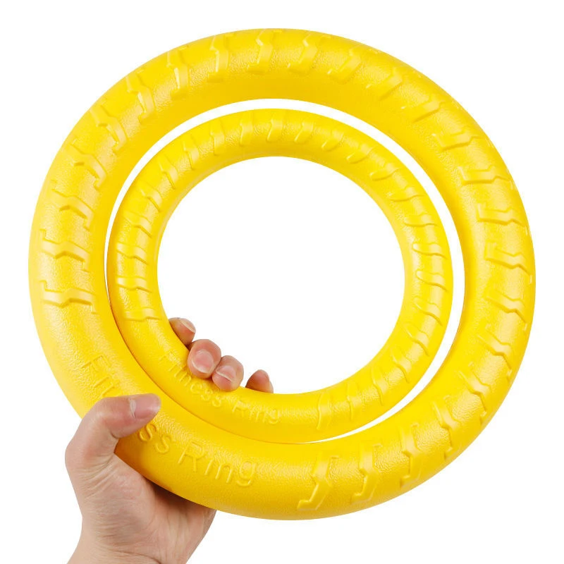 How Big Is A Dog Agility Ring