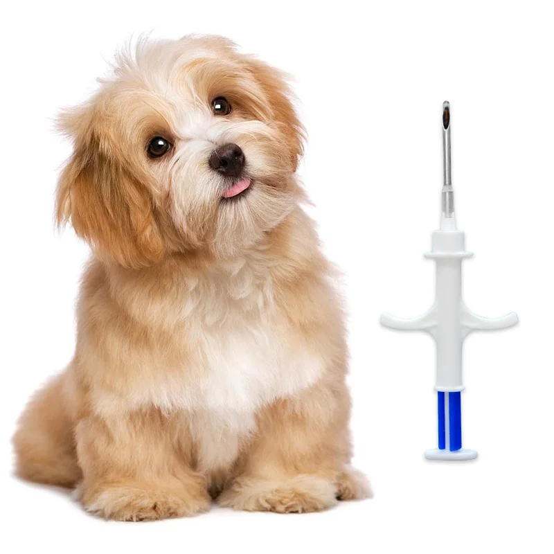 100 pcs 11784 FDX-B 2.12x12mm dog microchip animal syringe ID implant ...