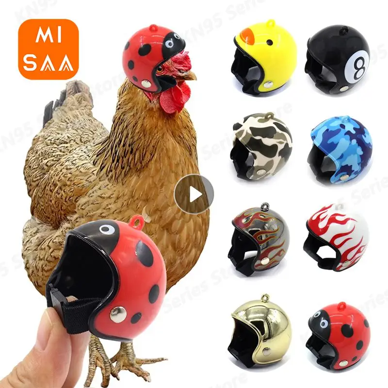 Защитный головной убор для птиц | AliExpress