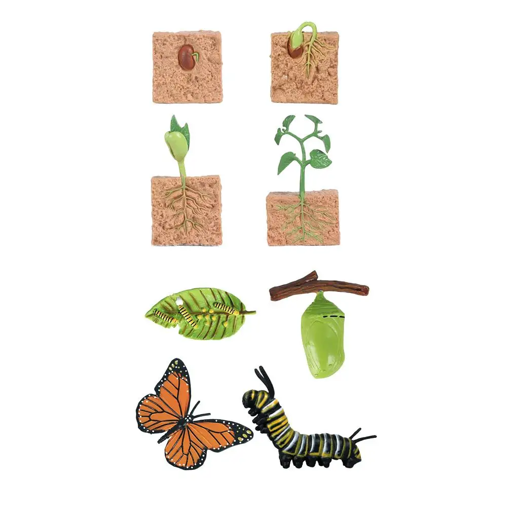 Realistic Butterfly & Soybeans Seed Growth Child Education Learning Toy ...