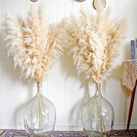 Large pampas grass store