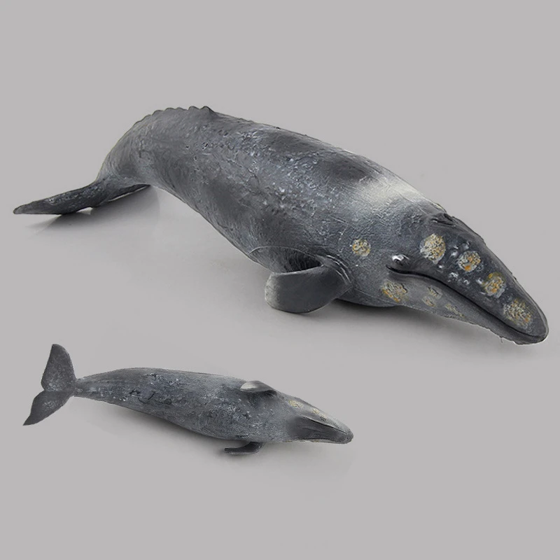 Large Size Simulation Marine Life Killer Whale White Shark Action ...