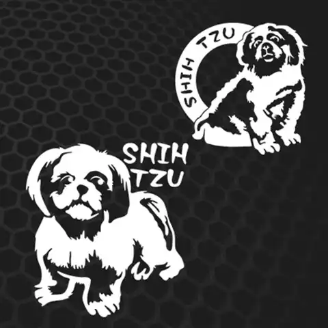 Can A Aidi And A Shih Tzu Be Friends