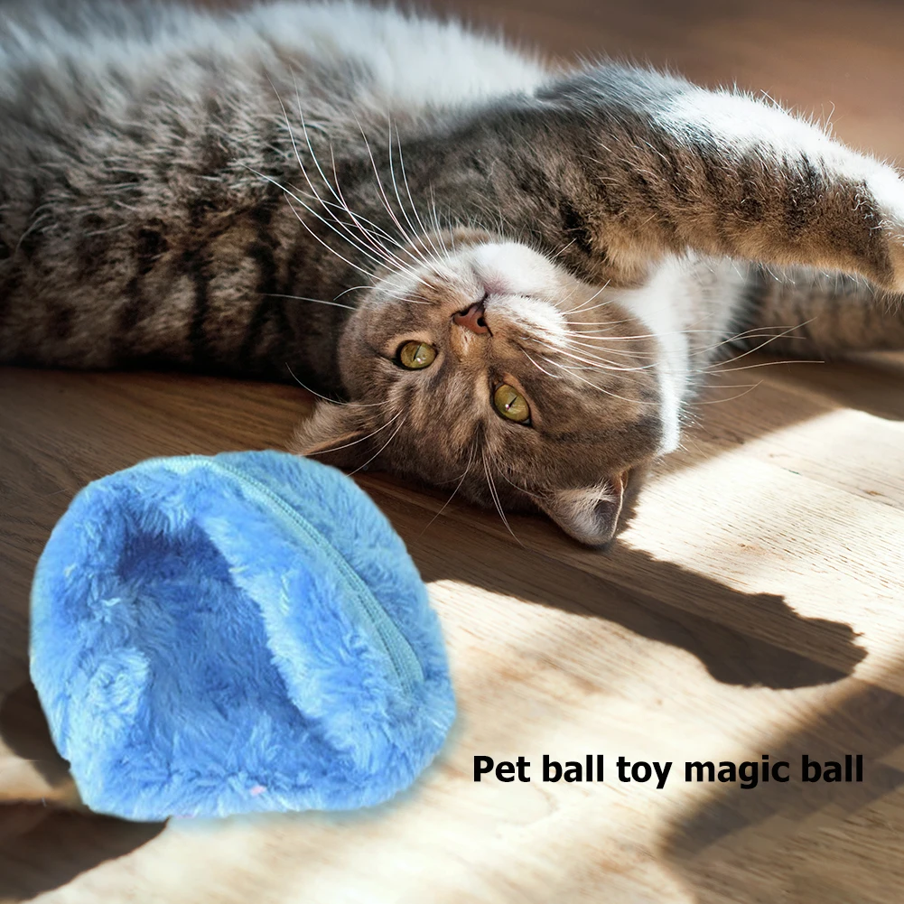 Rolling Ball Cat Toy | Snooty Cats