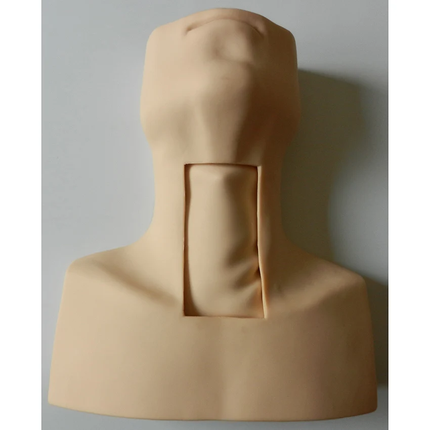 Tracheostomy care Simulator, Percutaneous tracheostomy Training Model ...