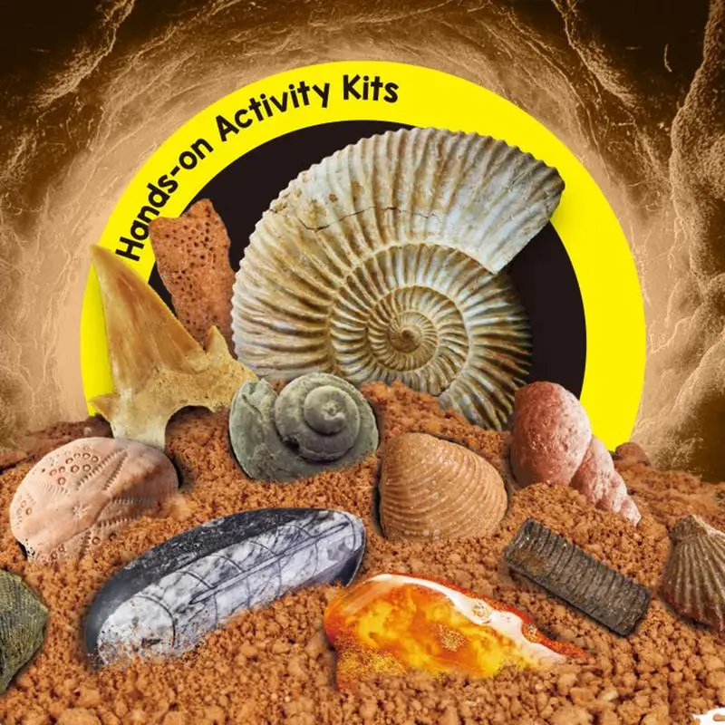 Mega Dig Kit STEM Educational DIY Toys Science Kit Dig Up Prehistoric S ...