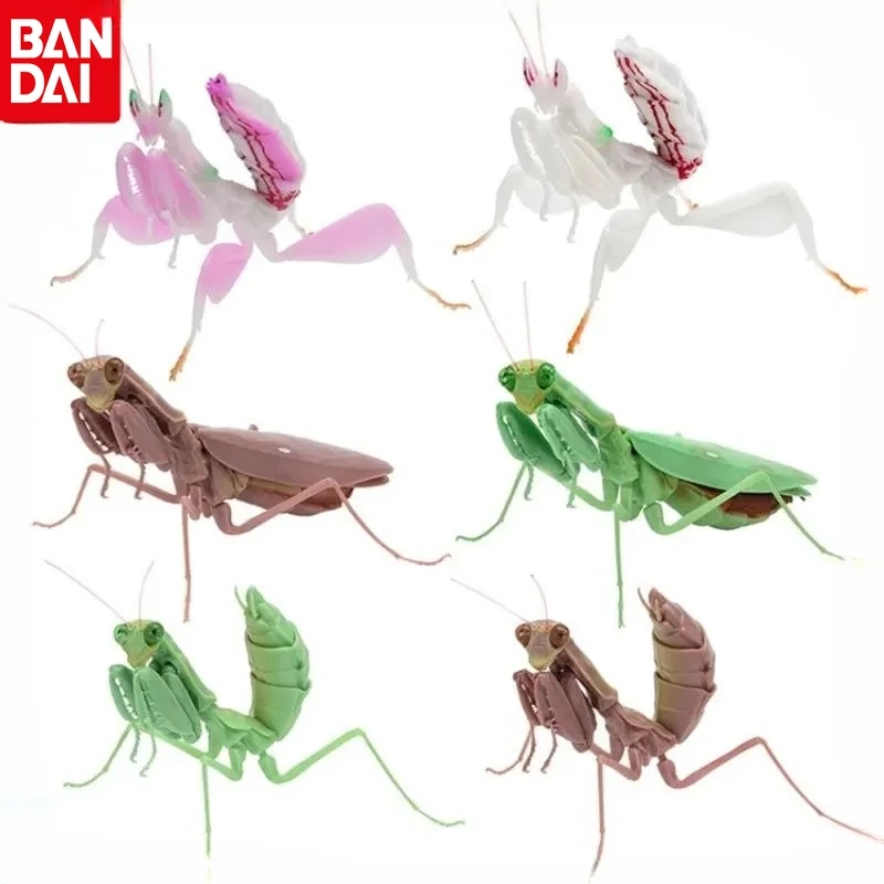 Bandai фигурки насекомых | AliExpress