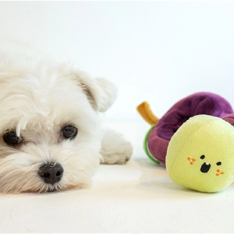 Will Grapes Kill Dogs