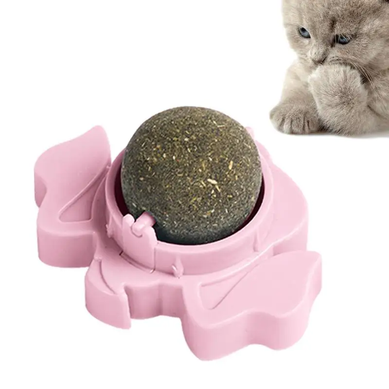 Are Mint Candies Safe For Dogs