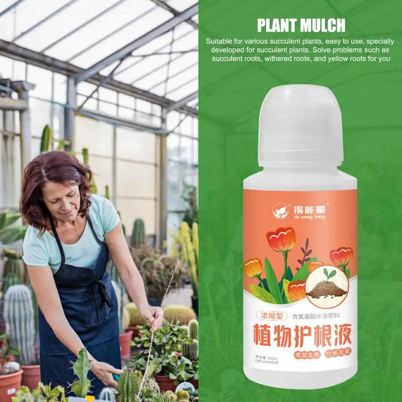 Yellow Root Plant Prices