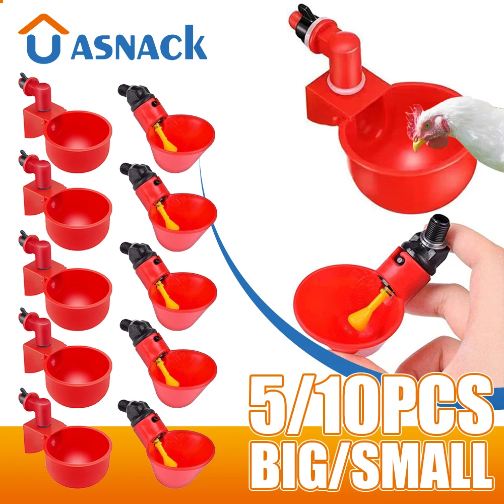 Gift Shop | Gifts Flash