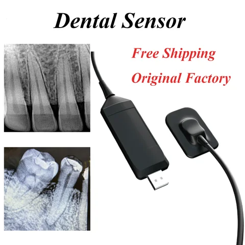 Sensor digital de rayos x sistema intraoral - купить недорого | AliExpress