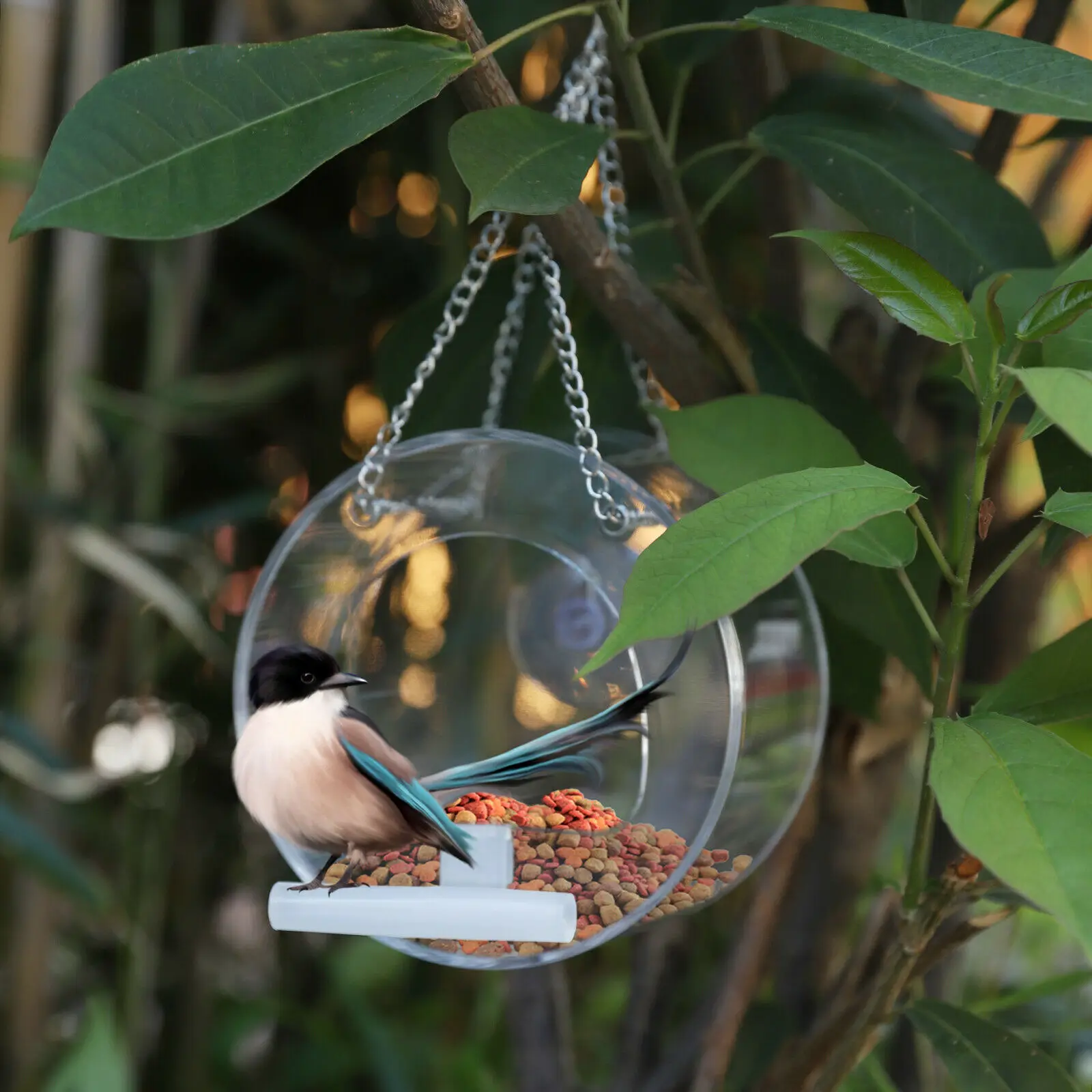 Non Scatter Bird Feeder | Bird-feeder.org