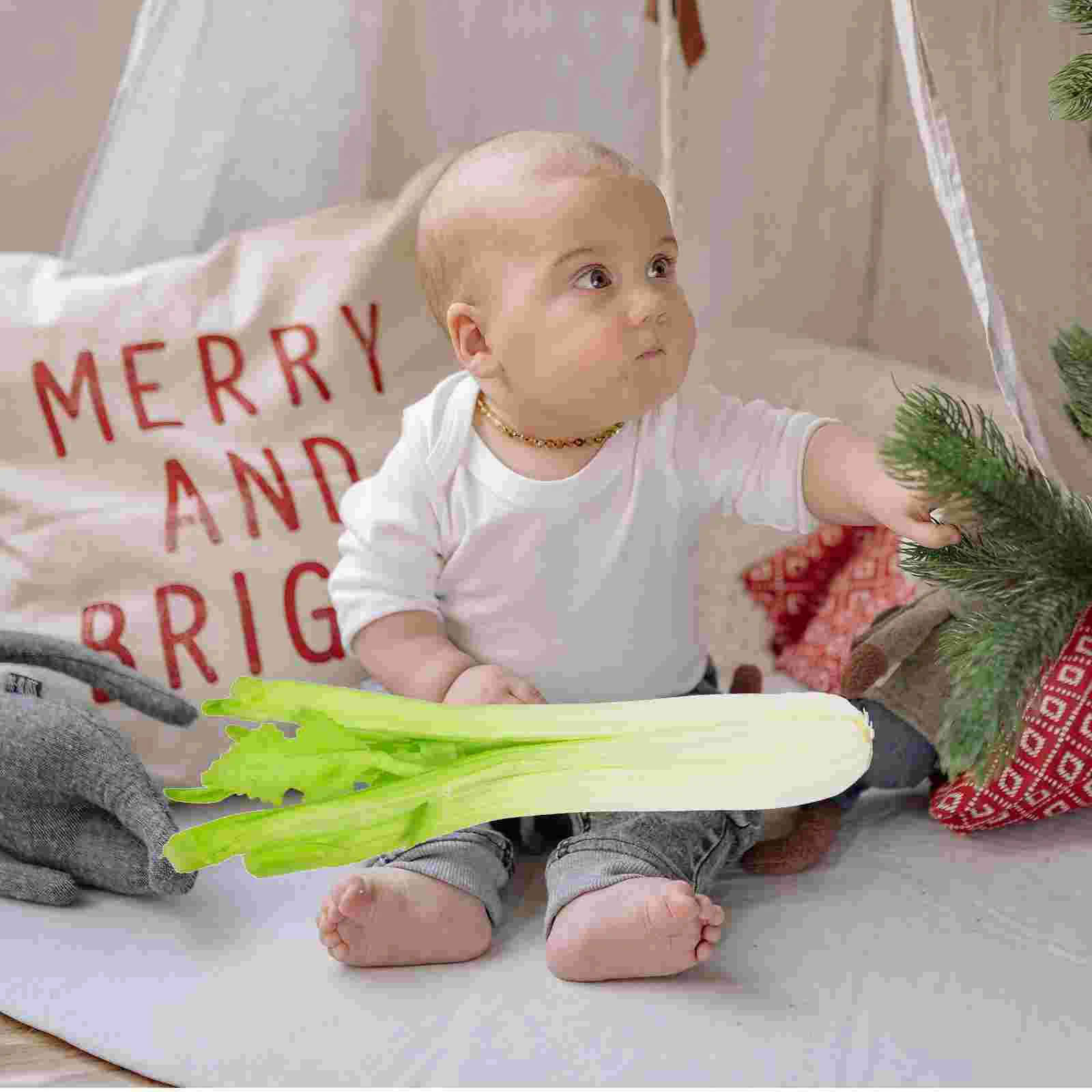 Celery Vegetables Vegetable Artificial Model Fakesimulation Props Faux ...