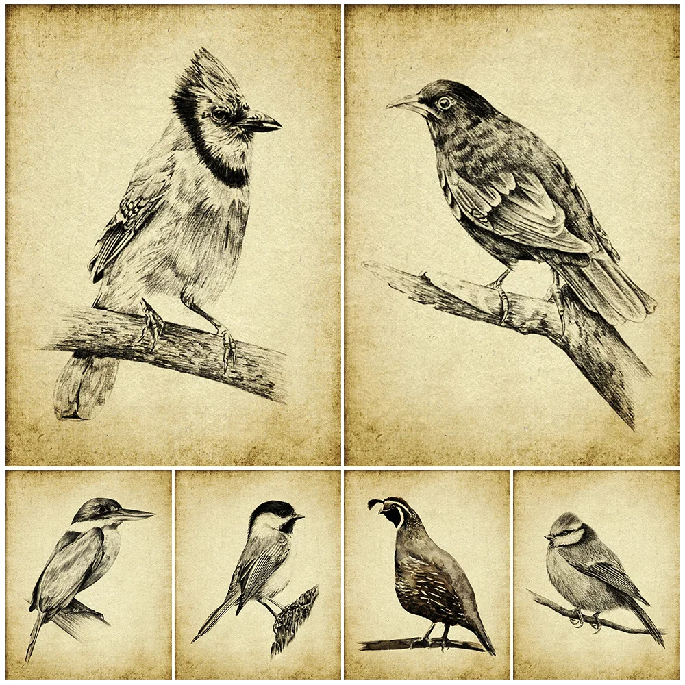 Настенный художественный принт "Nightingale, Kingfisher, Marsh Wren ...