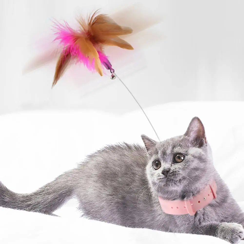 Feathered cat collar Toy