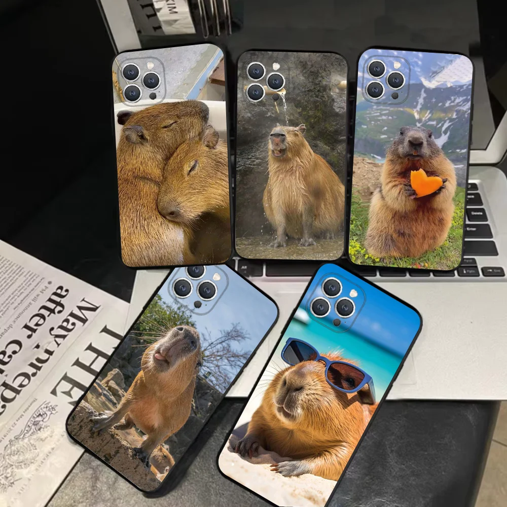 Capybara Phone Case For iPhone 16,15,14,13,12,11,Pro,X,XS,Max,XR,Plus ...