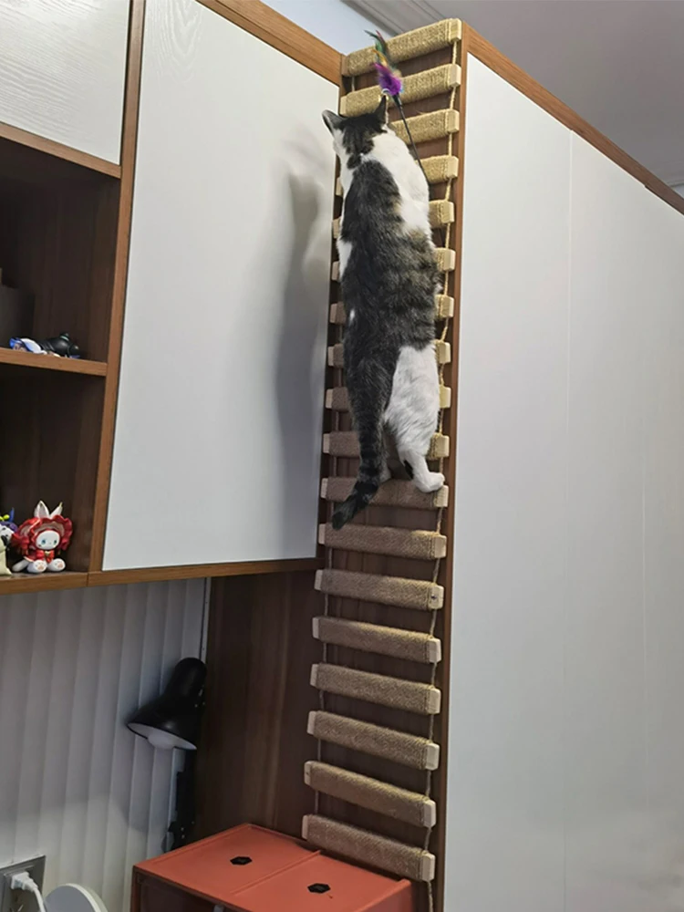 Cat Ladders For The Wall