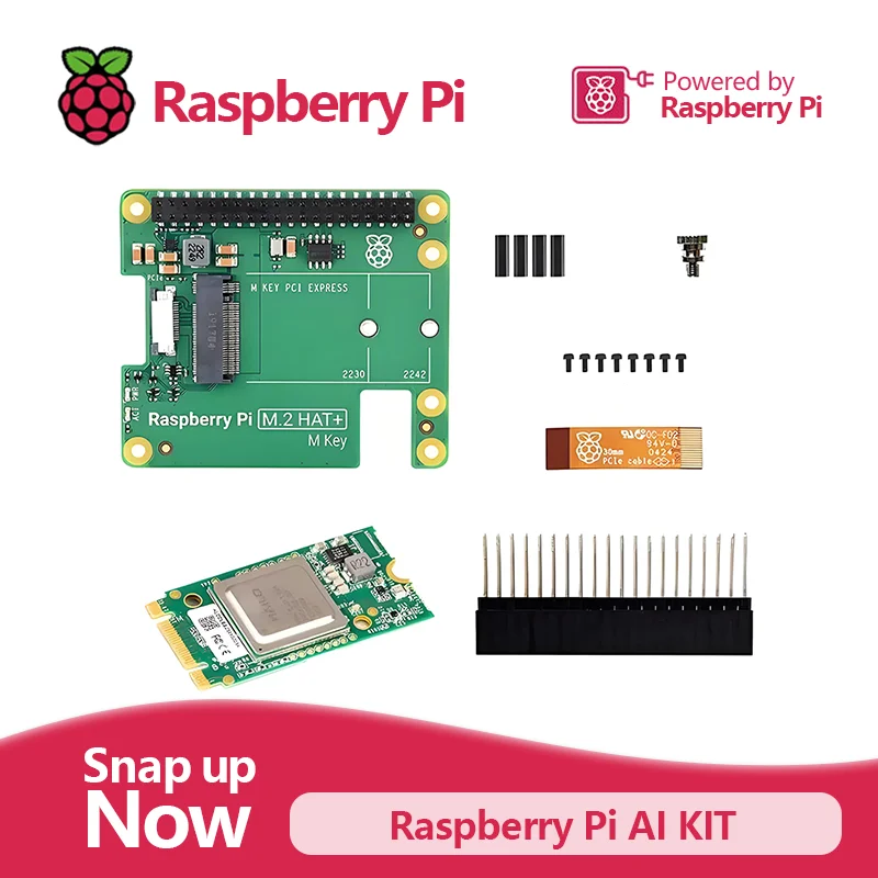 Raspberry Pi AI Kit | AliExpress