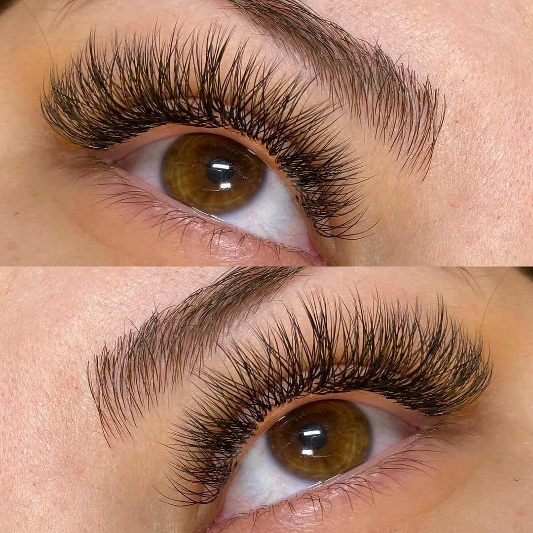 5d lashes store