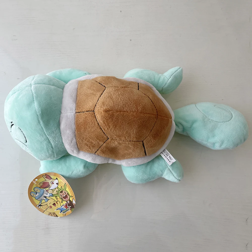 Squirtle Sleeping