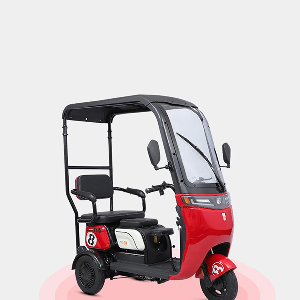 800w Motor Driven Cycle 48\60v 3 Wheeled Electric Tricycle 20a Lithium ...