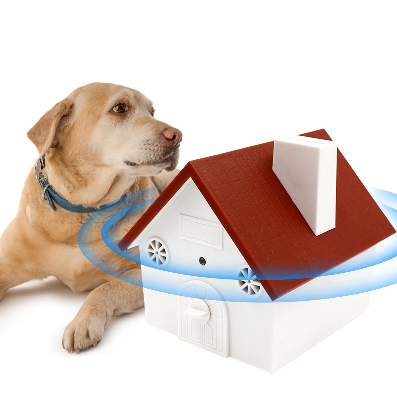 What Is Nuisance Dog Barking