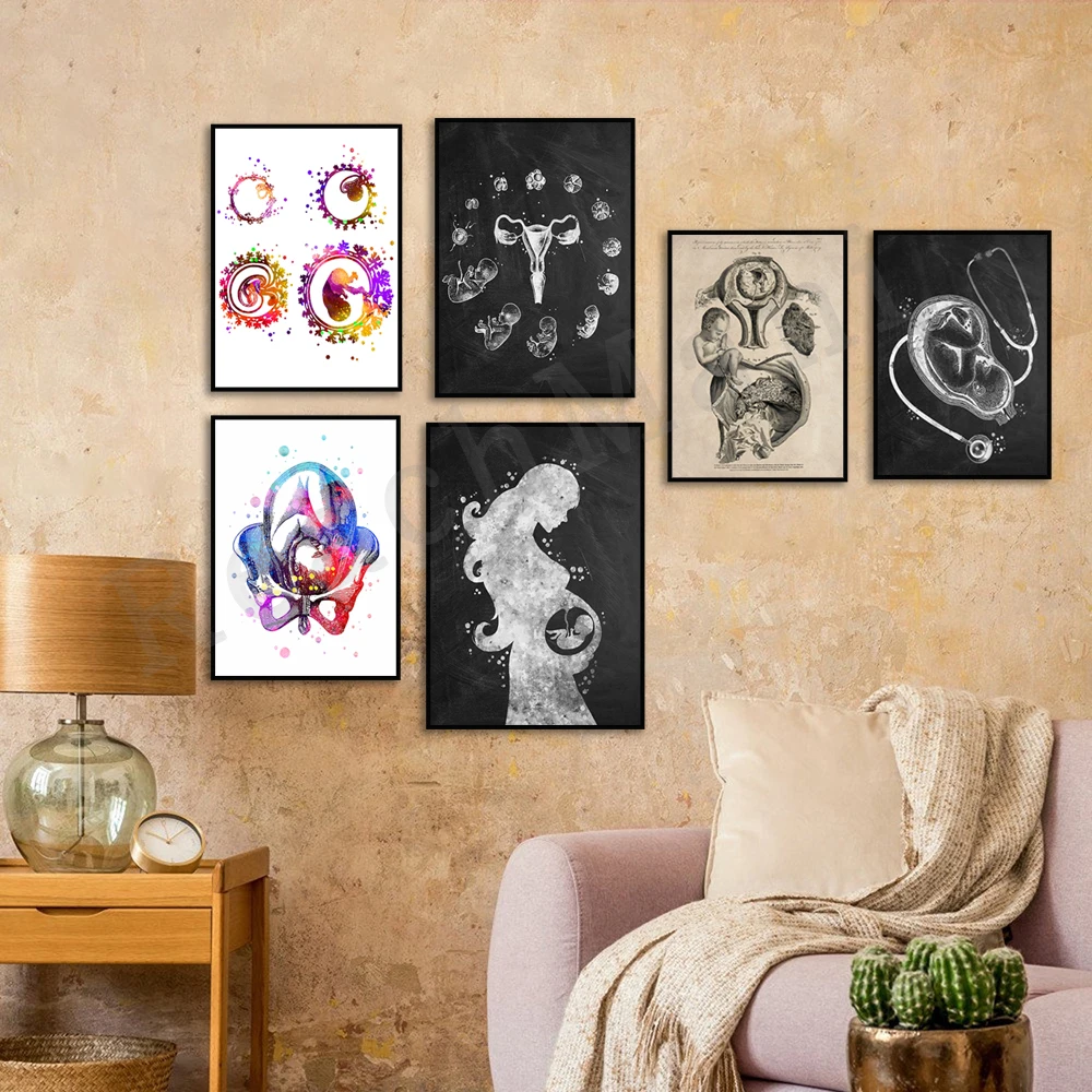 OBGYN medical poster, fetal development, human embryo, fetal pattern ...