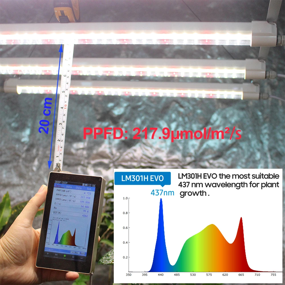 2ft Grow Light | Grow-light.org