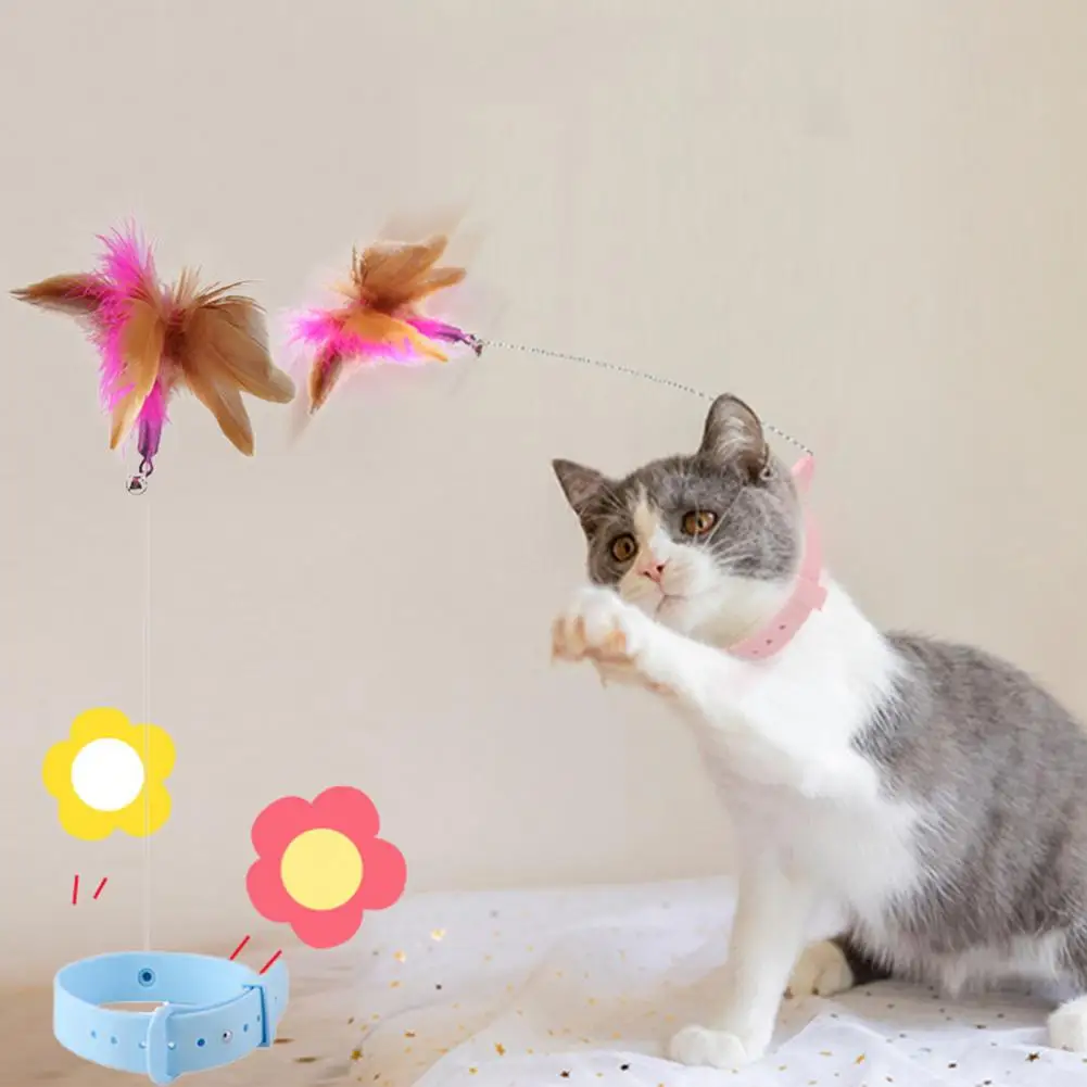 Feathered cat collar Toy