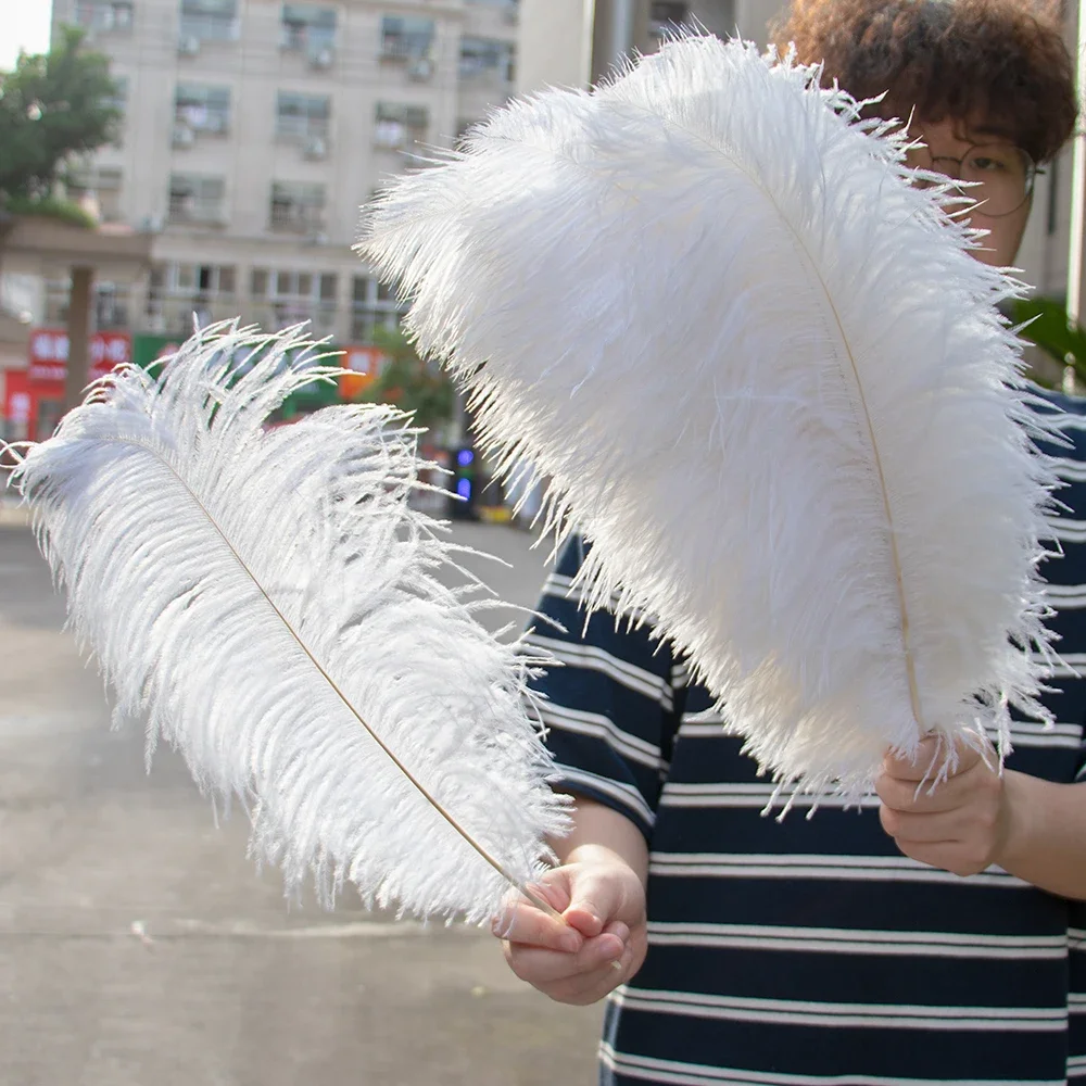 Разноцветные страусиные перья для рукоделия, 15-50 см, 10 шт | AliExpress