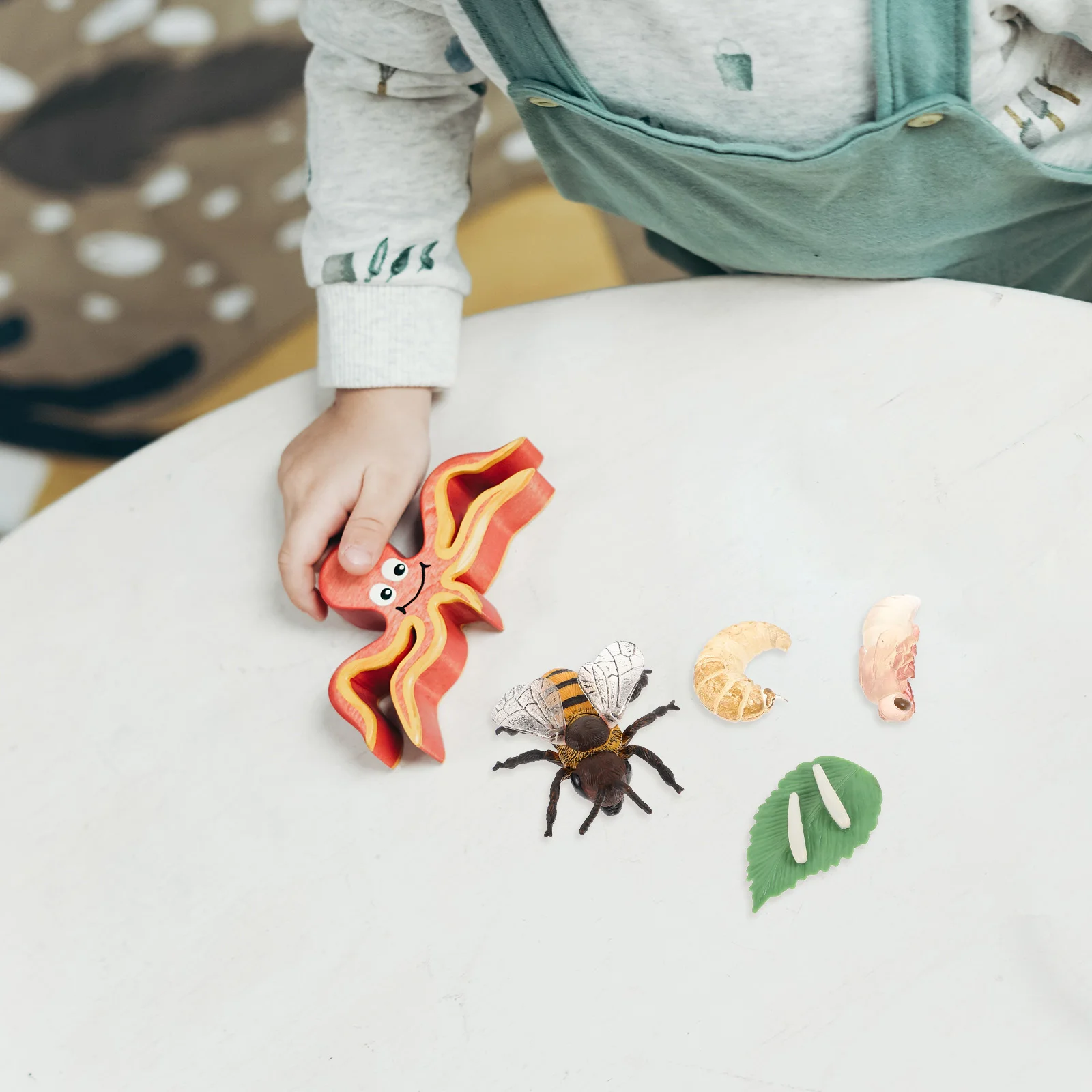Stag Beetle Growth Week Snail Toy Cycles Animal Bee Growth Cycle ...