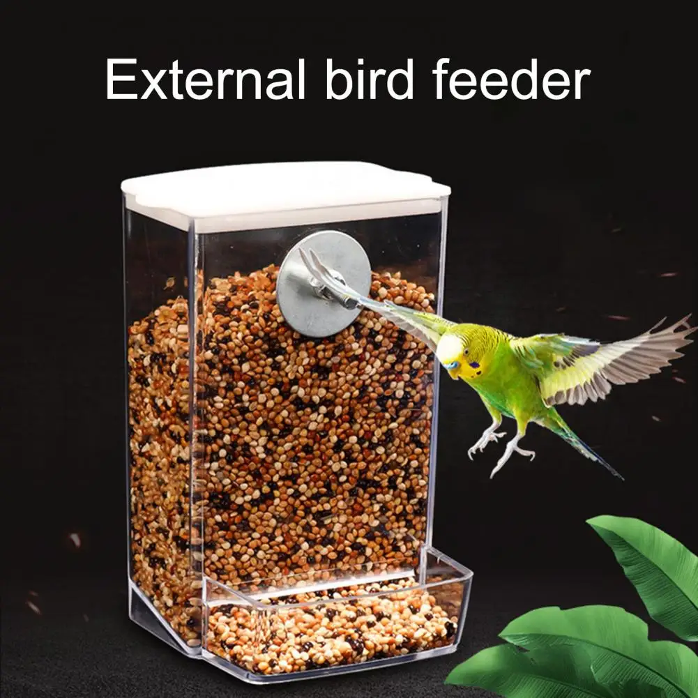 Finches Bird Food | Foodbird.org